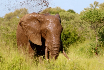 O que fazer em Maputo | 10 Atrações, o Roteiro e as Dicas