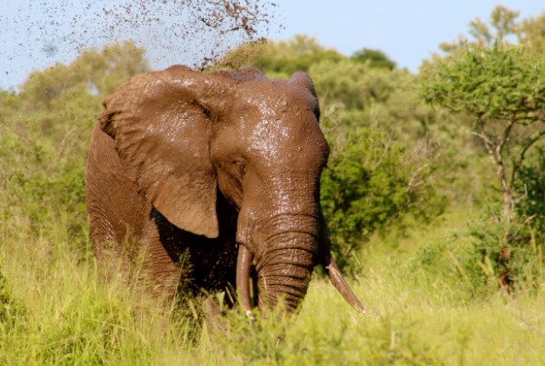 Top 10 things to do in Maputo - Travel Guide and Tips