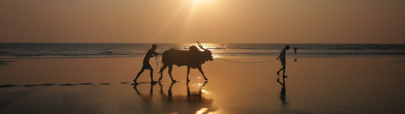 Querim, um tesouro bem guardado no Norte de Goa - Backpackers Bay